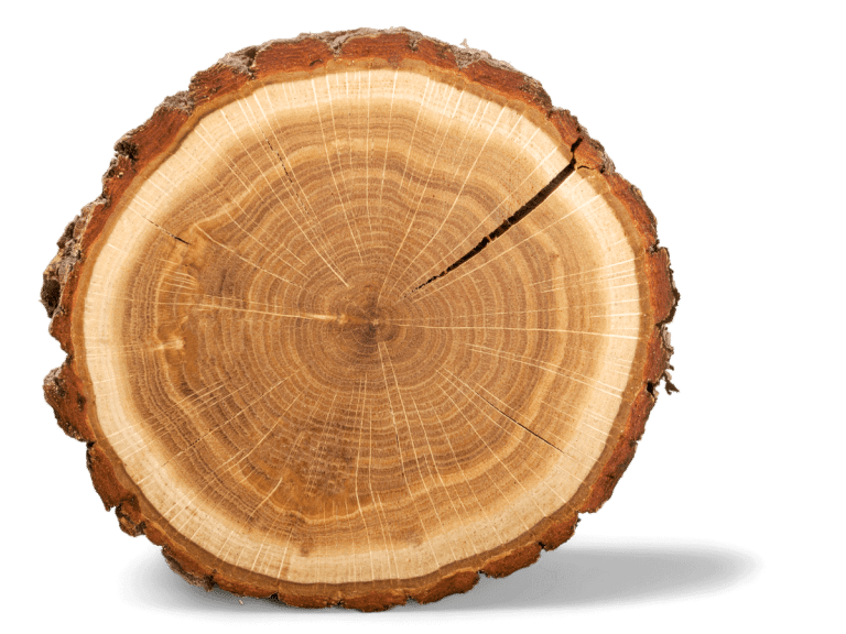 SQL Accounting - Trusted Accounting Software 2023